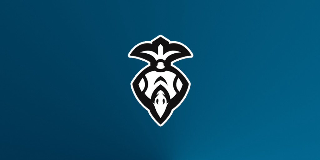 Falcons Esport. Counter-Strike (CS2) team: Roster, schedule, next match ...