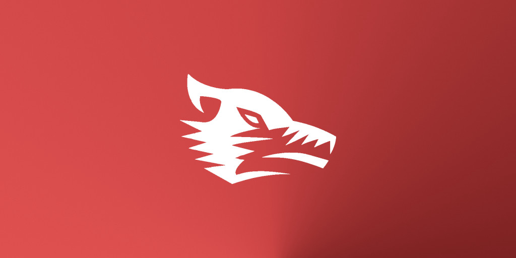 Wolves X. VALORANT team: Roster, schedule, next match, members, all players