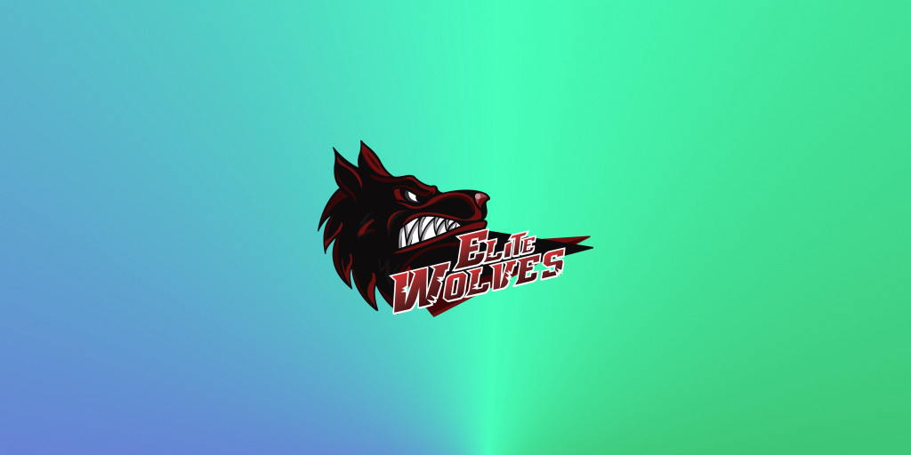 Elite Wolves. LoL team: Roster, schedule, next match, members, all players