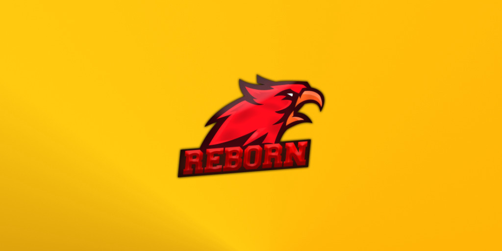 Reborn Titans. Rocket League team: Roster, schedule, next match ...