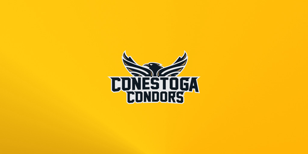 Conestoga Condors. Rocket League team: Roster, schedule, next match ...