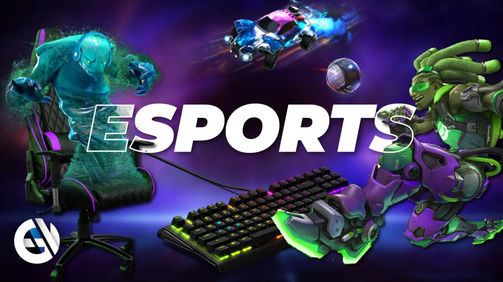 How eSports tournaments are organised: an inside look - , Gaming Blog