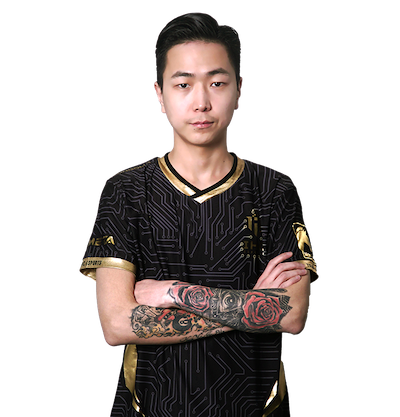 IHC. CS:GO team: roster, next match, results, stats, Twitch, news